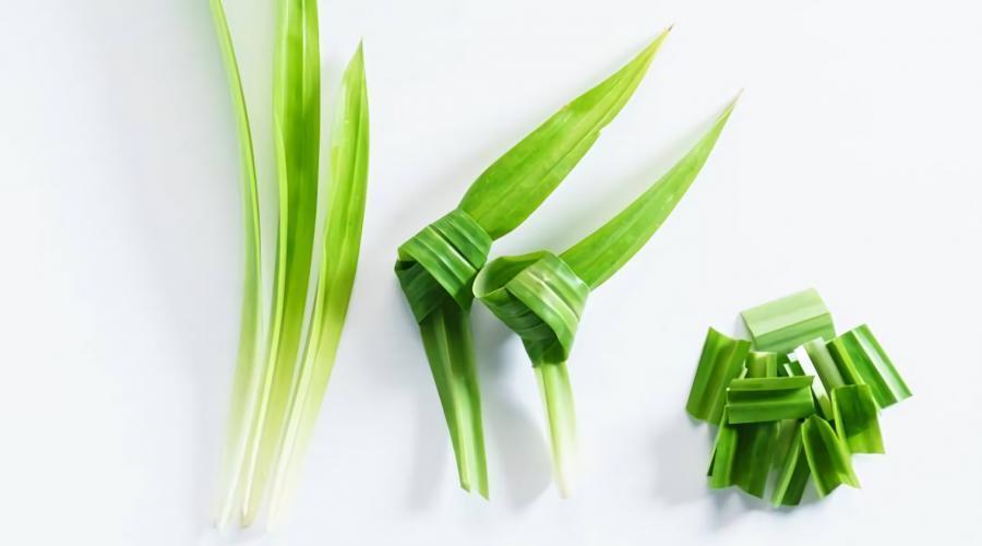 Serba-serbi Daun Pandan